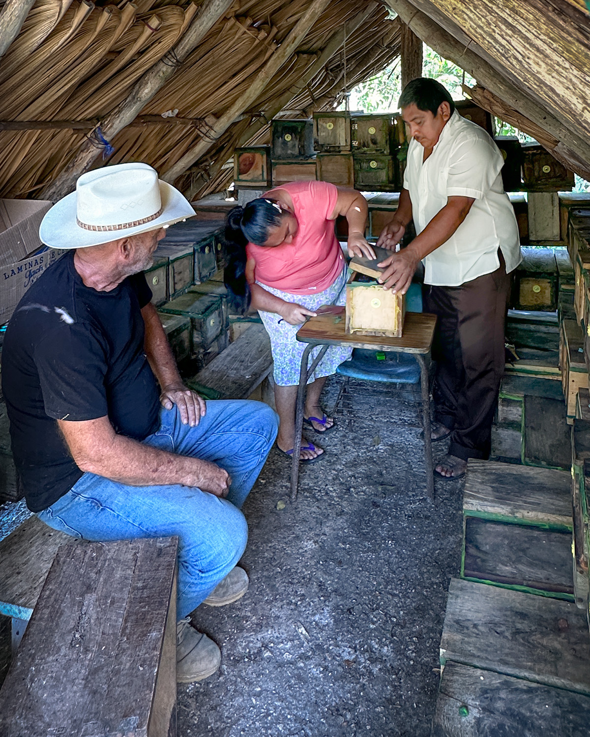 Supporting the Maya Beekeepers – Puerto Morelos Vacation Rentals