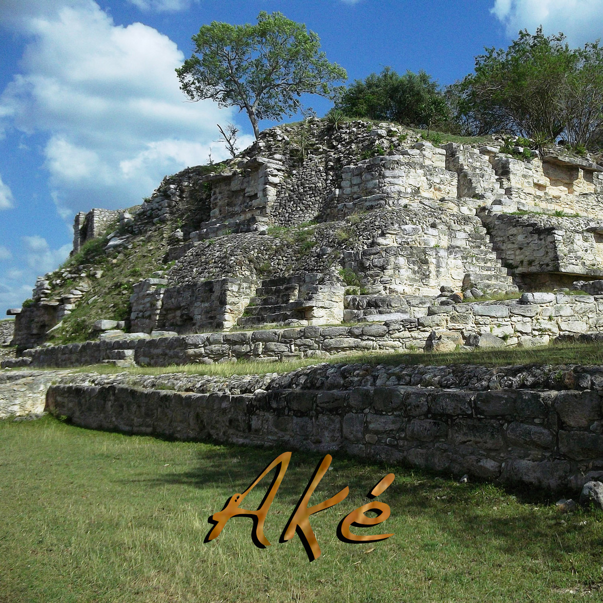 Riding the Maya Train for the first time – Puerto Morelos Vacation Rentals
